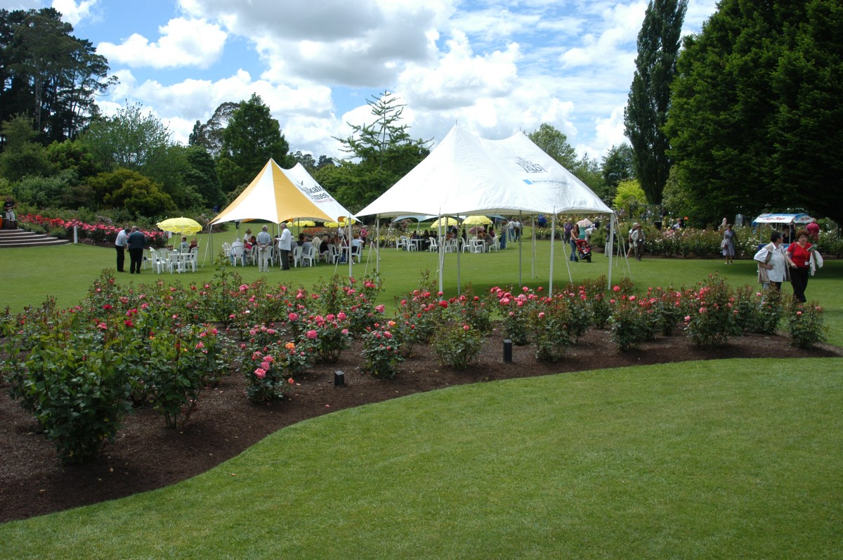 BECOME A MEMBER TODAY – Auckland Rose Society